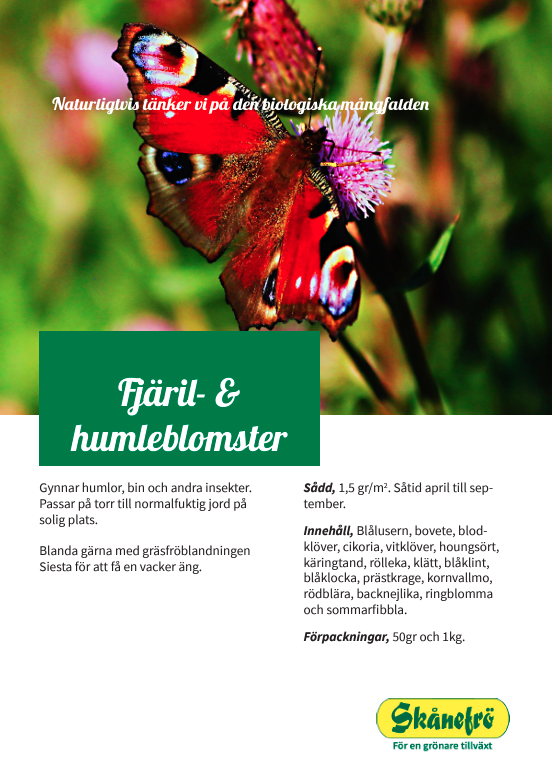 Fjäril- och humleblomster - Hos Sandbergs Trädgård & Service i Flen Fjäril- och humleblomster - Hos Sandbergs Trädgård & Service i Flen