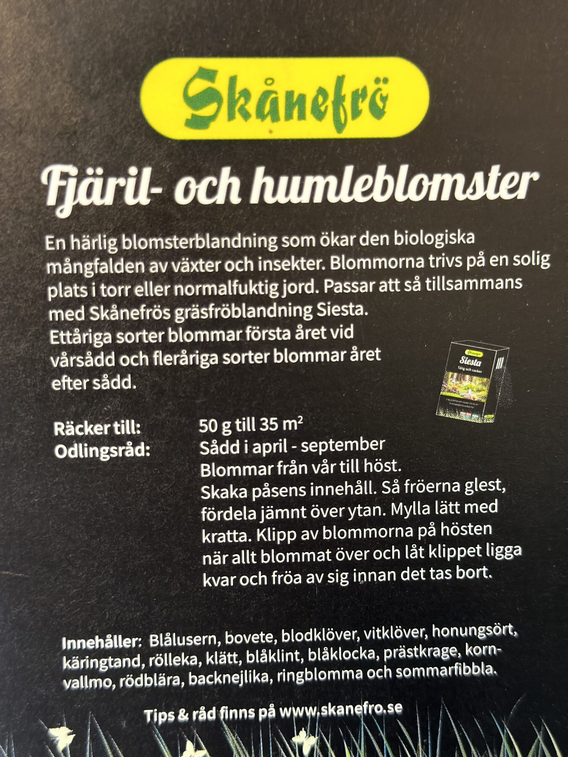 Fjäril- och humleblomster - Hos Sandbergs Trädgård & Service i Flen Fjäril- och humleblomster - Hos Sandbergs Trädgård & Service i Flen