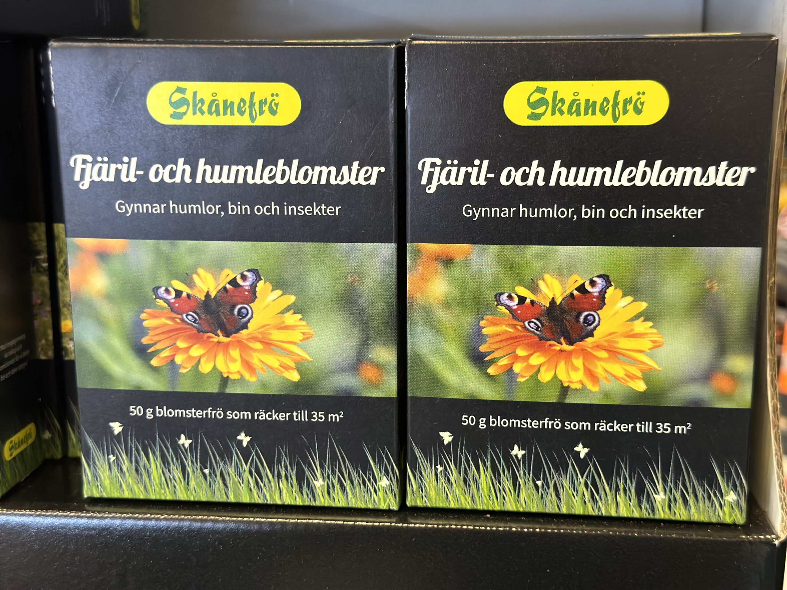 Fjäril- och humleblomster - Hos Sandbergs Trädgård & Service i Flen Fjäril- och humleblomster - Hos Sandbergs Trädgård & Service i Flen